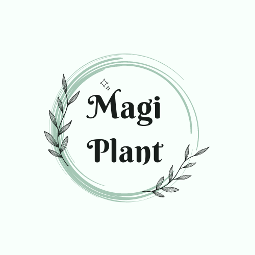Premium Plant-Lover Products – Magi Plant Premium Products